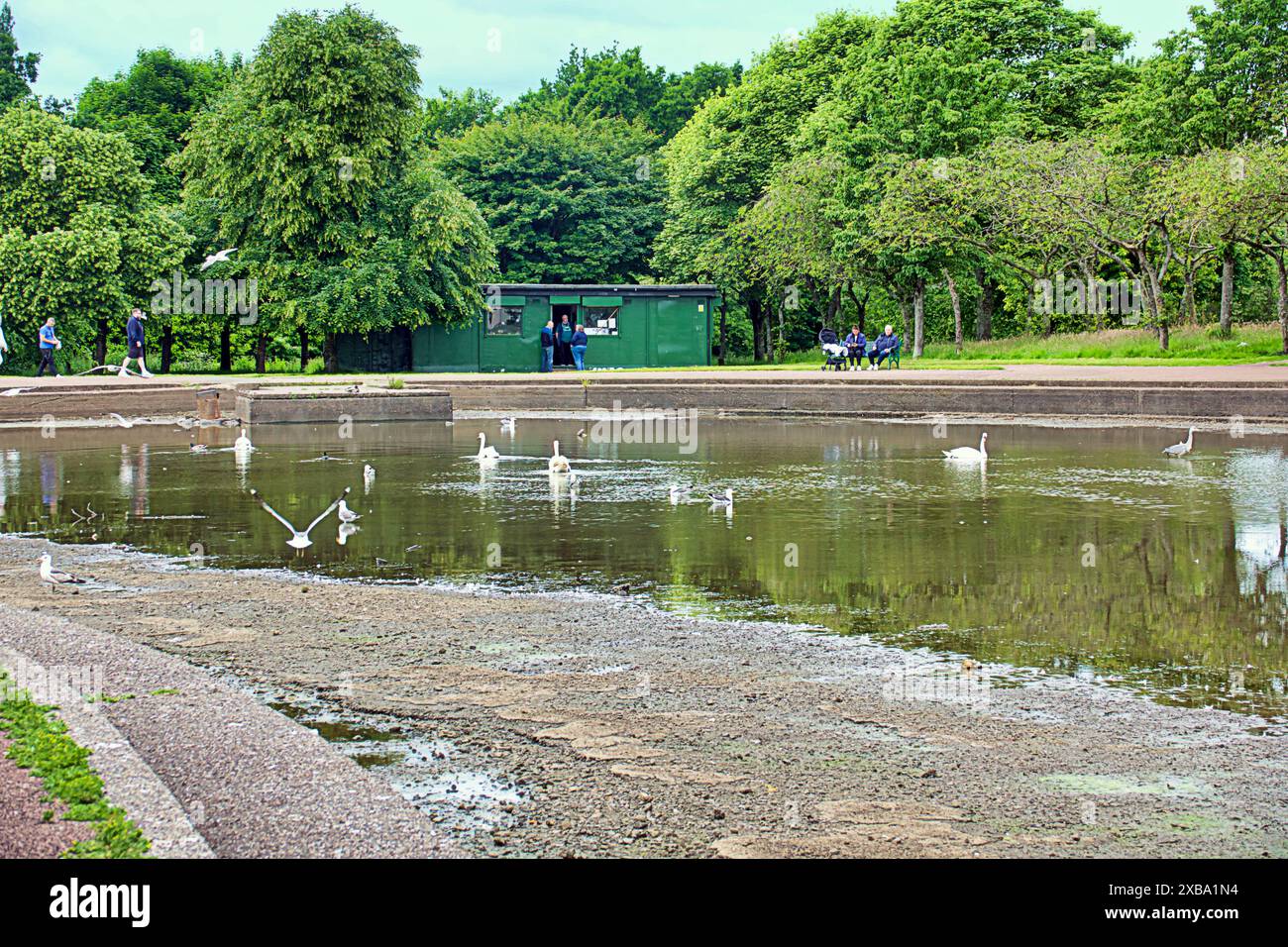 Glasgow, Scotland, UK. 11th June, 2024: Blue Algae problem city parks ...