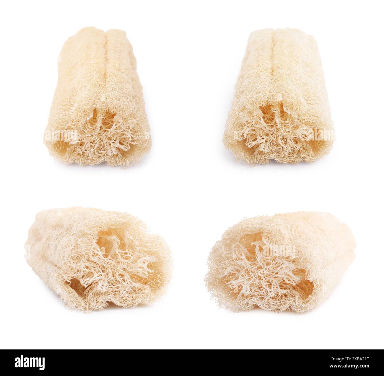 Natural loofah sponges isolated on white, set Stock Photo - Alamy