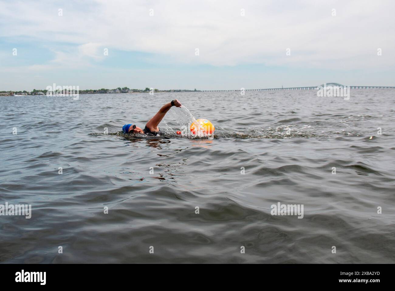 One women swimming in the bay wearing an orange safety buoy with the ...