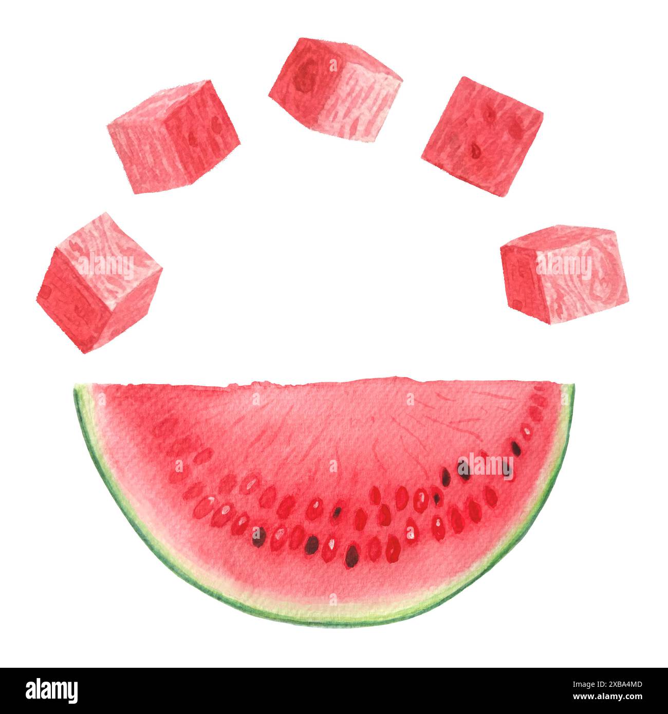 Watermelon slice and cubes red and juicy with a few seeds. Watercolor ...