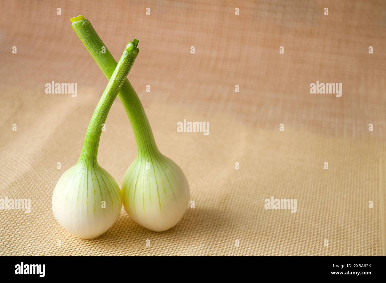 Onion metaphor hi-res stock photography and images - Alamy