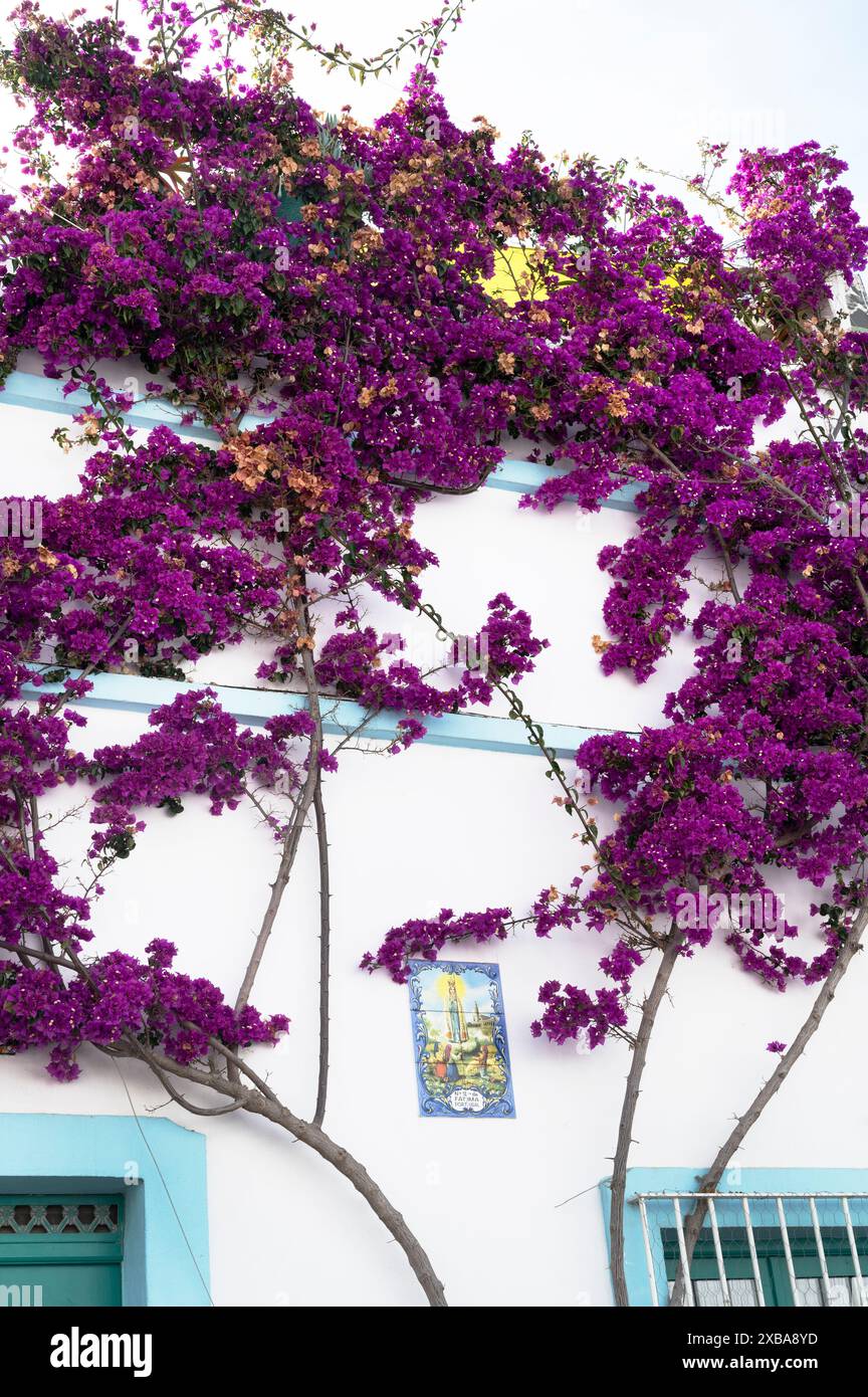 Fatima Portugal Spring