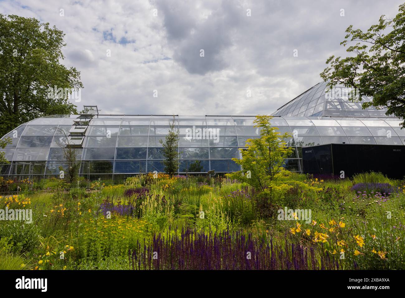 11 June 2024, North Rhine-Westphalia, Cologne: View of the almost ...