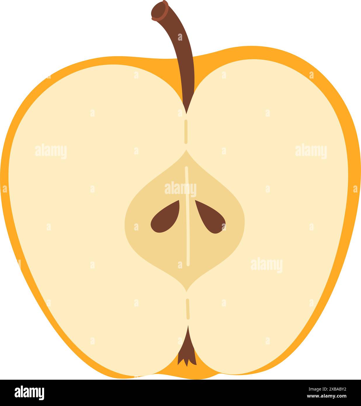 Yellow apple cut in half. One piece of fresh fruit with seeds. Apple ...