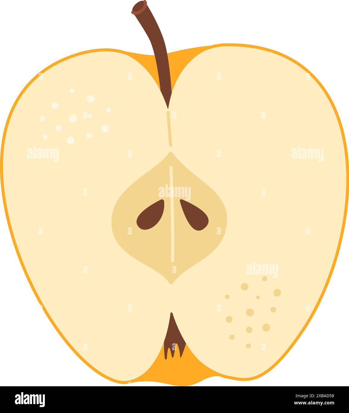 Yellow apple cut in half. One piece of fresh fruit with seeds. Apple ...