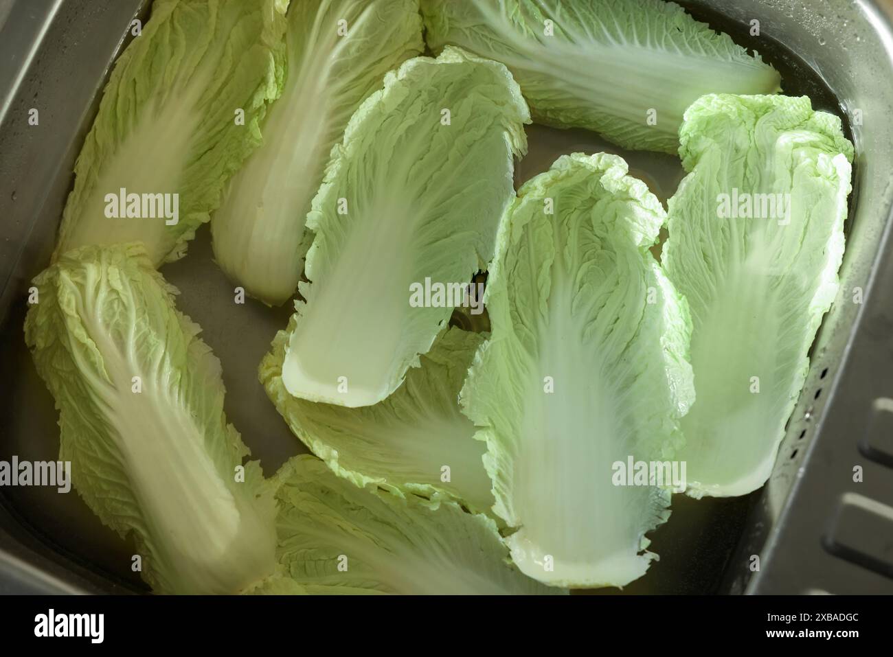 Chinese cabbage leaves in water inside sink, top view Stock Photo - Alamy