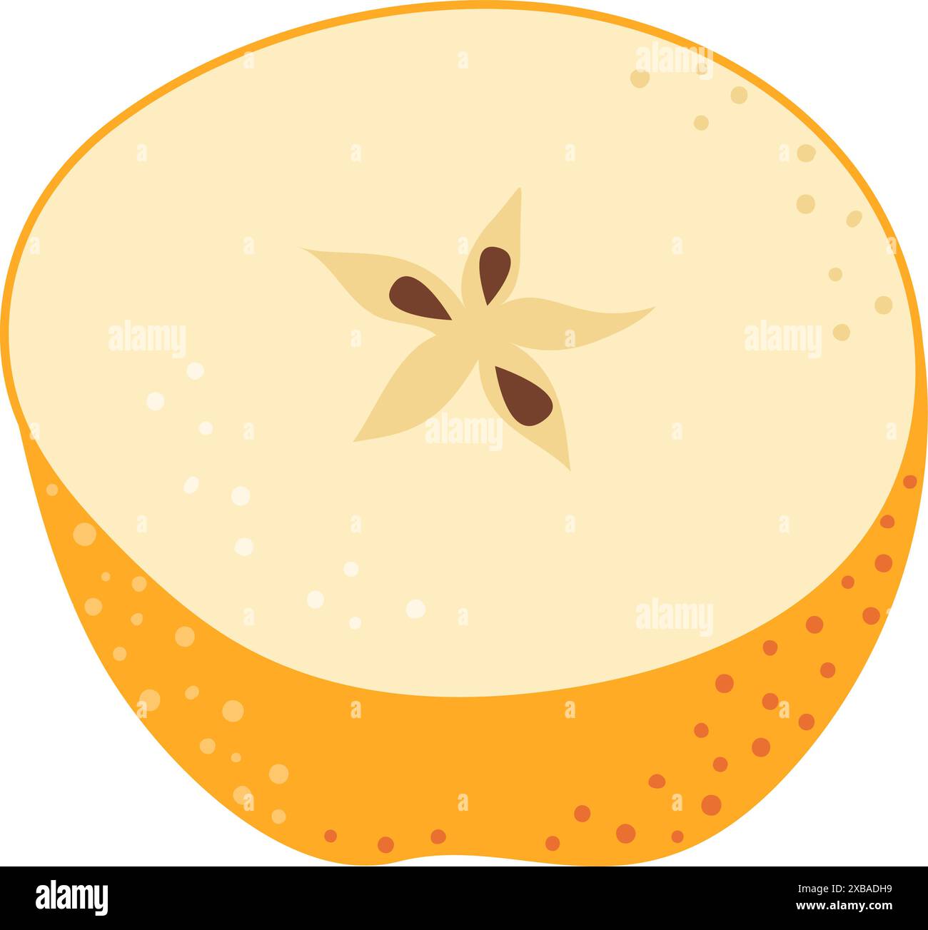 Yellow apple cut in half. One piece of fresh fruit with seeds. Apple ...