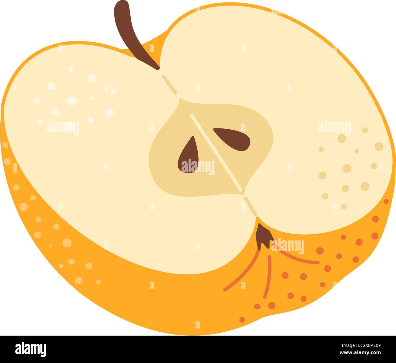 Yellow apple cut in half. One piece of fresh fruit with seeds. Apple ...