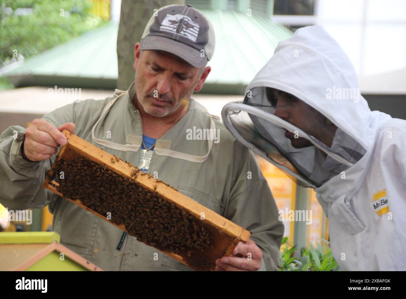 New York, USA. 17th May, 2024. Beekeeper Andrew Coté (green overall ...