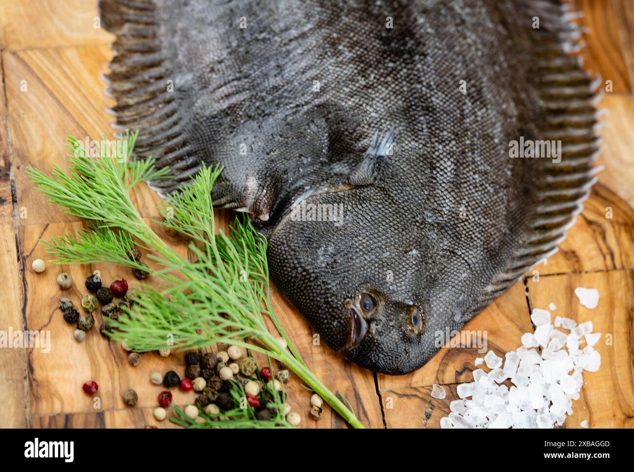 The saltwater sole a delicious flatfish Stock Photo - Alamy