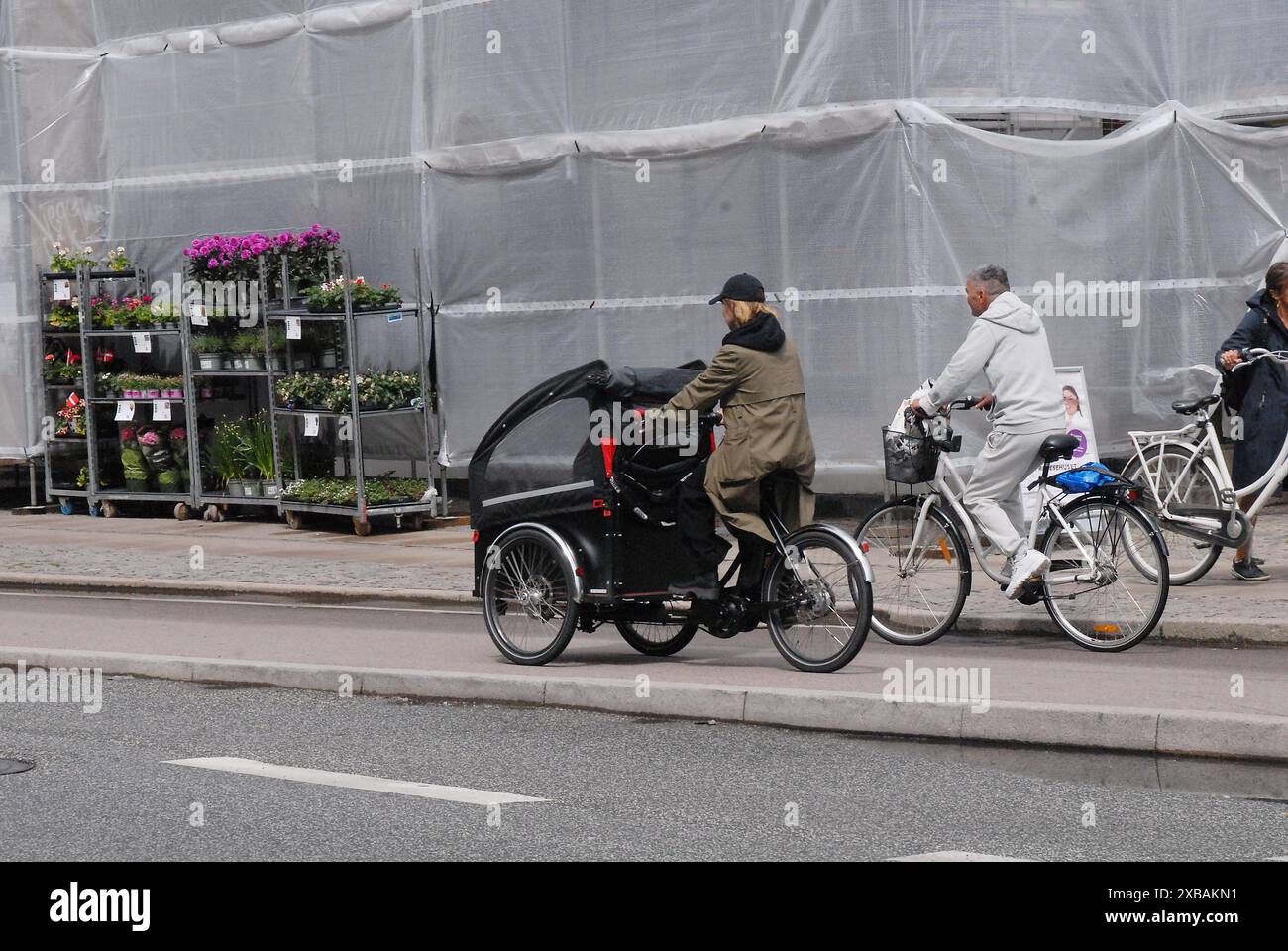 Copenhagen/ Denmark/11 JUNE 2024/ Cargo bikes are very popular in ...