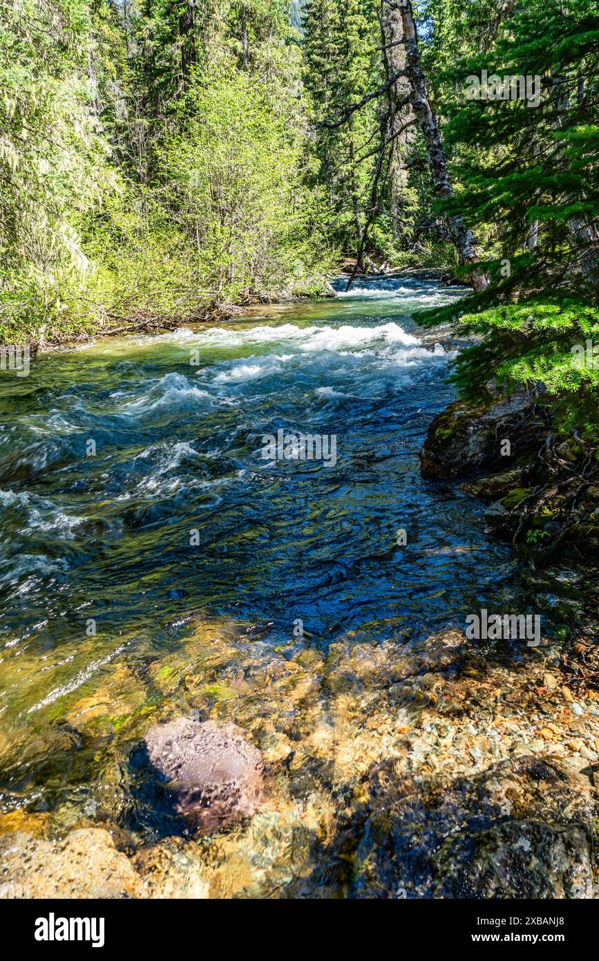 A view of a rushing cold stream on the Chinook Pass in Washington State ...