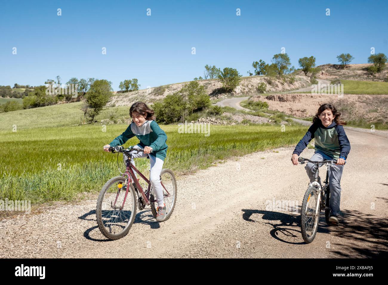 Twin brothers cycling on a way through meadows. Outdoor activities with ...