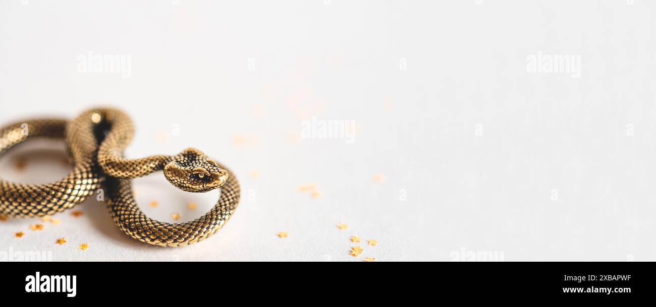Bronze snake figurine on a white background. The symbol of 2025 Stock ...