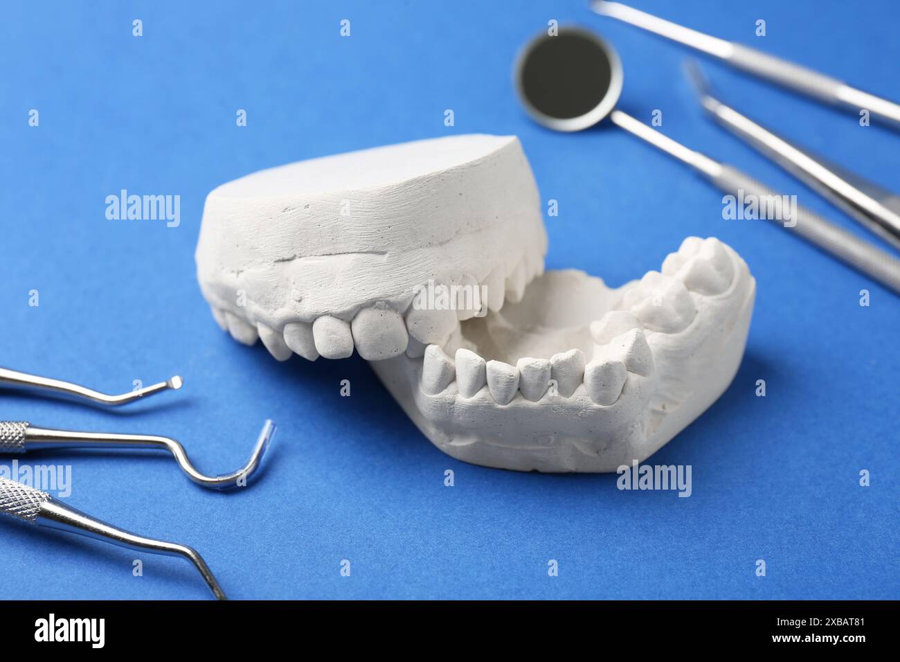 Dental model with gums and dentist tools on blue background. Cast of ...