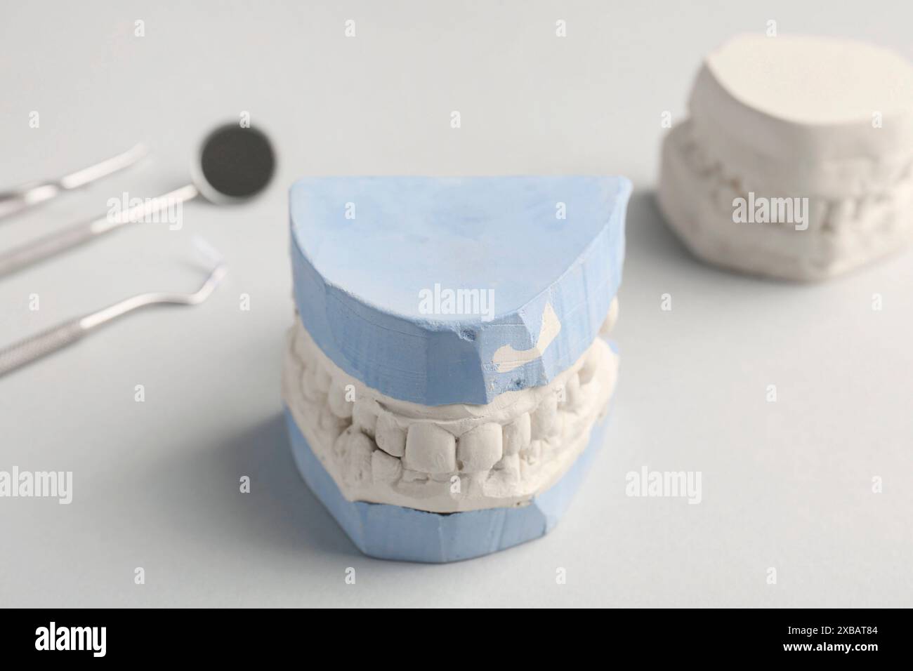 Dental models with gums and dentist tools on gray background, closeup ...
