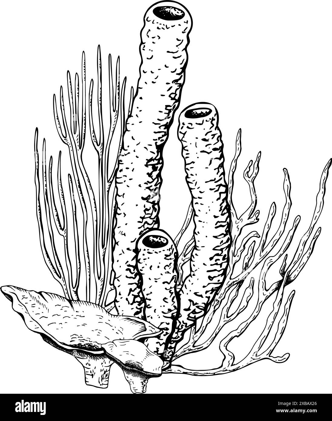 Coral reef underwater composition. Hand drawn vector illustration ...