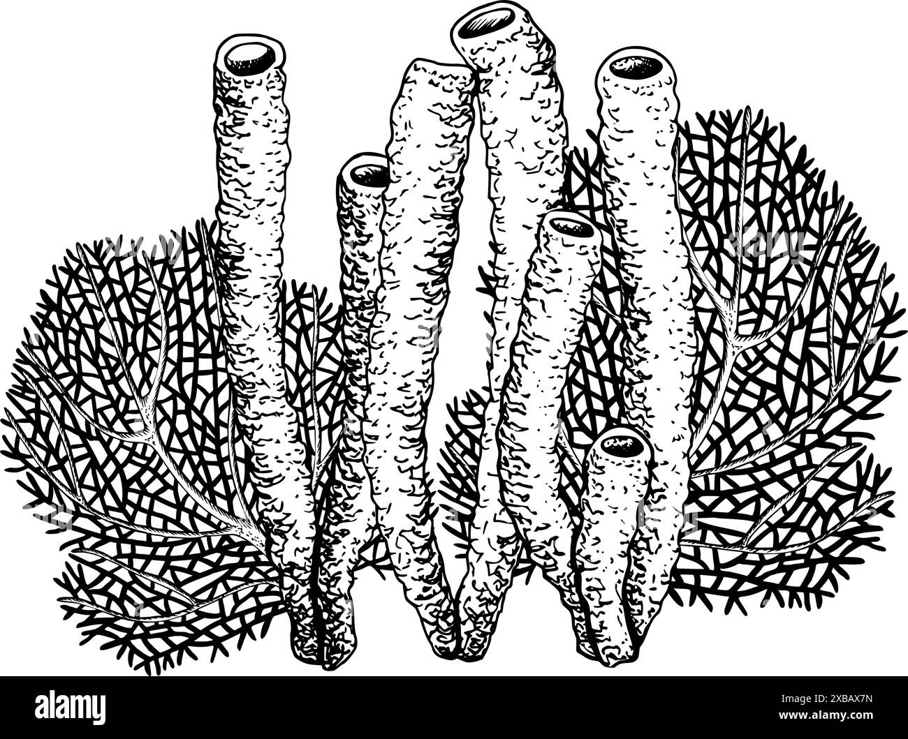 Underwater composition with coral reef corals tubes and sea fan ...