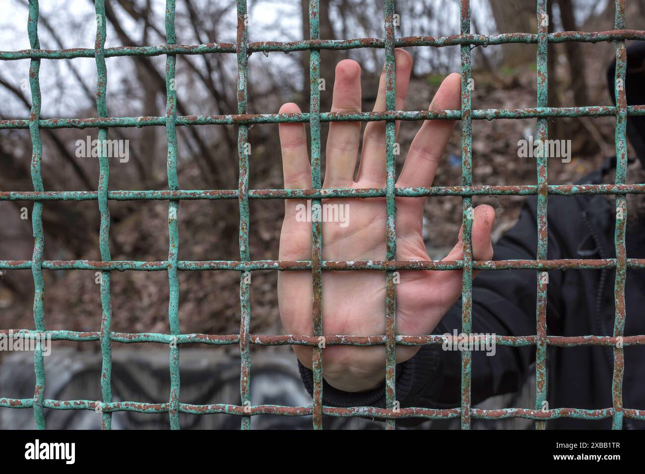 Male hand behind bars close up. Captivity, freedom, prison. A desperate ...