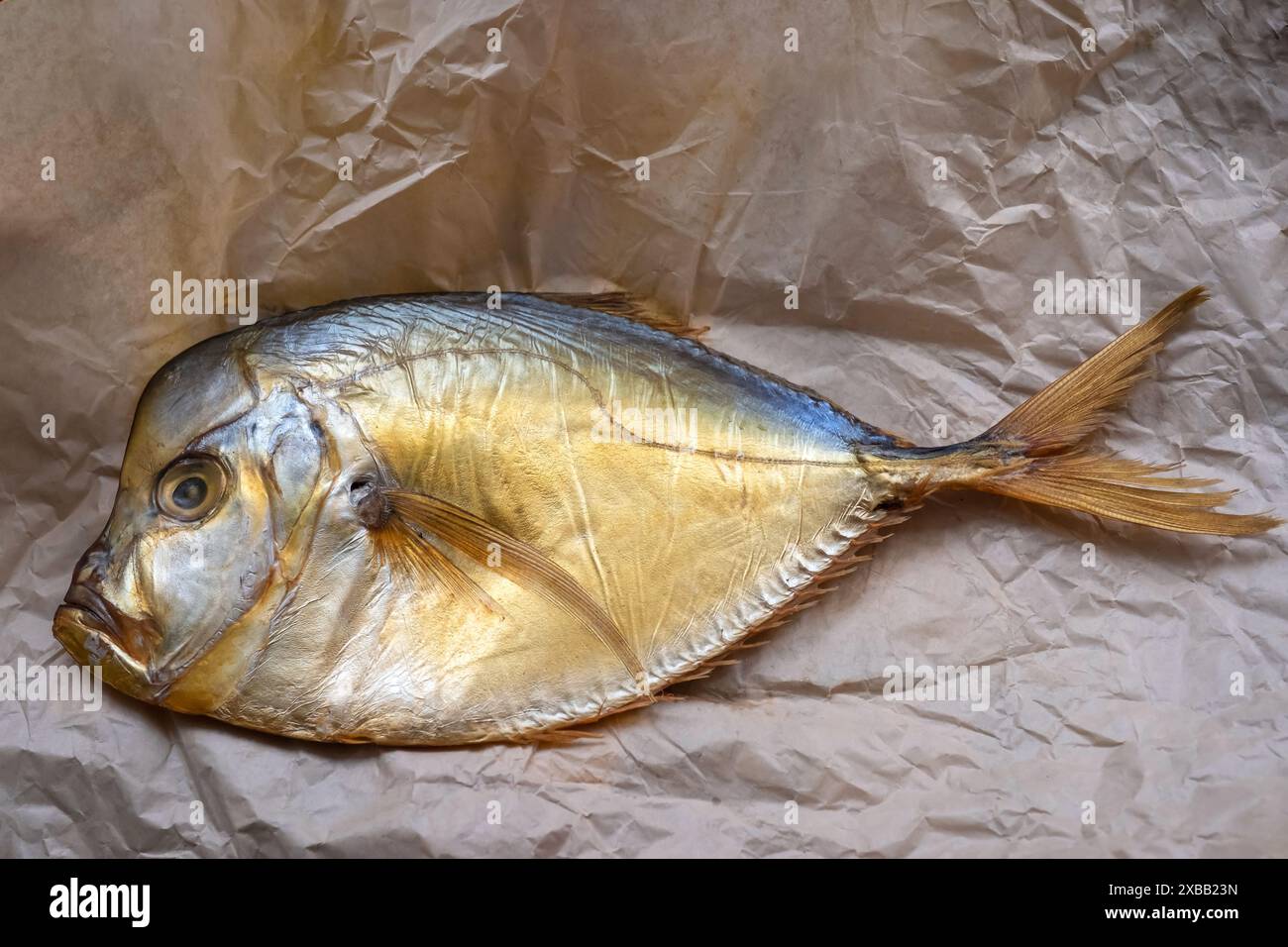 Vomer fish hi-res stock photography and images - Alamy