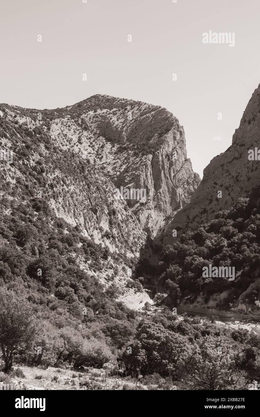 Monochromatic scenery hi-res stock photography and images - Alamy