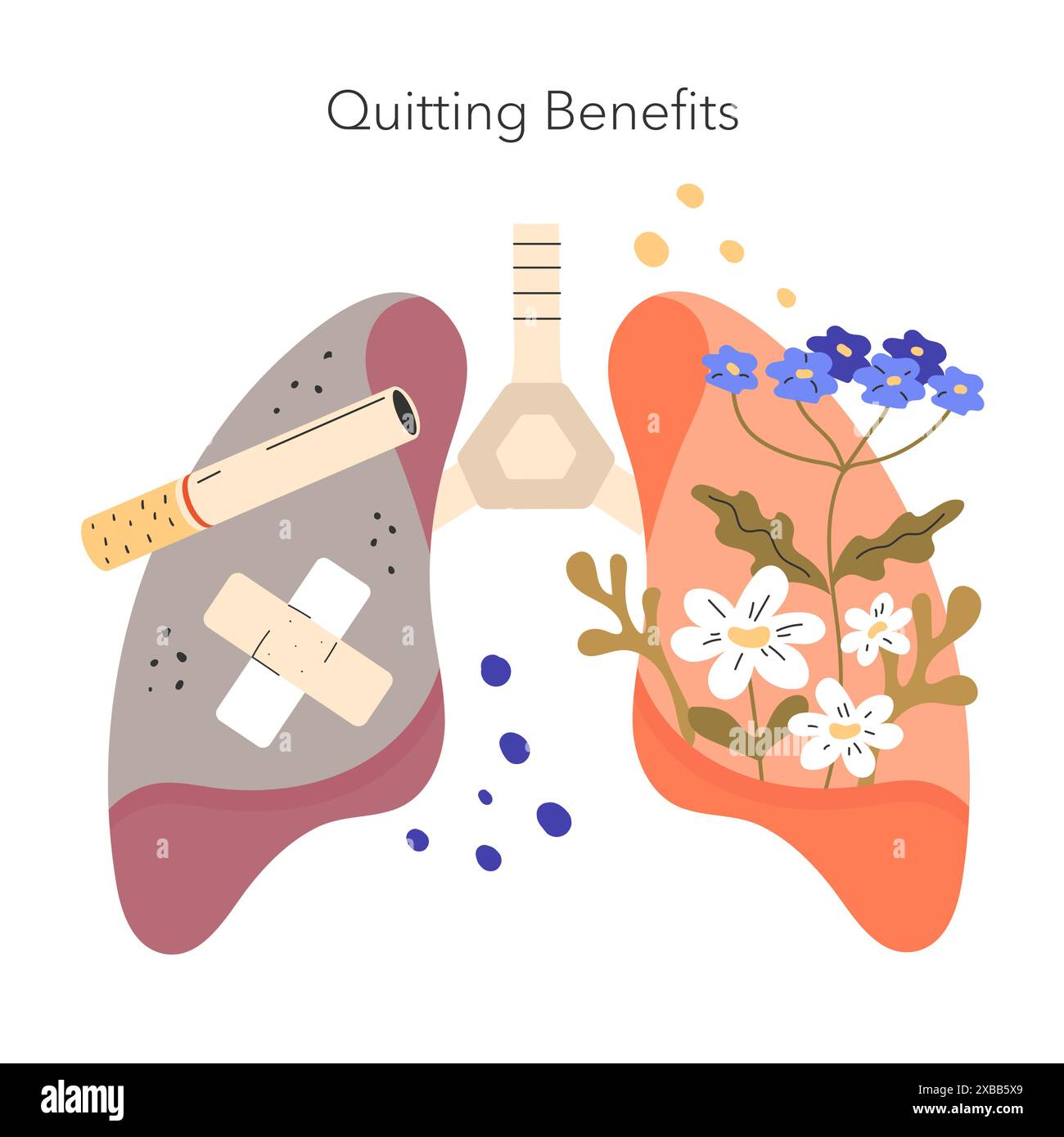No Tobacco Day concept. Healthy lung rejuvenation after quitting ...