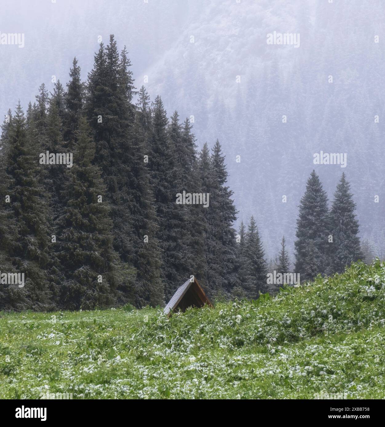 cozy shelter, a-frame on a mountain field in spring during snowfall ...