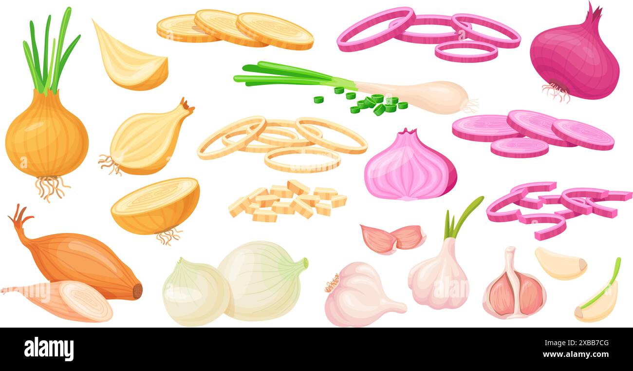 Cartoon cut onion. Cutting farm green or red onions and garlic, chopped ...