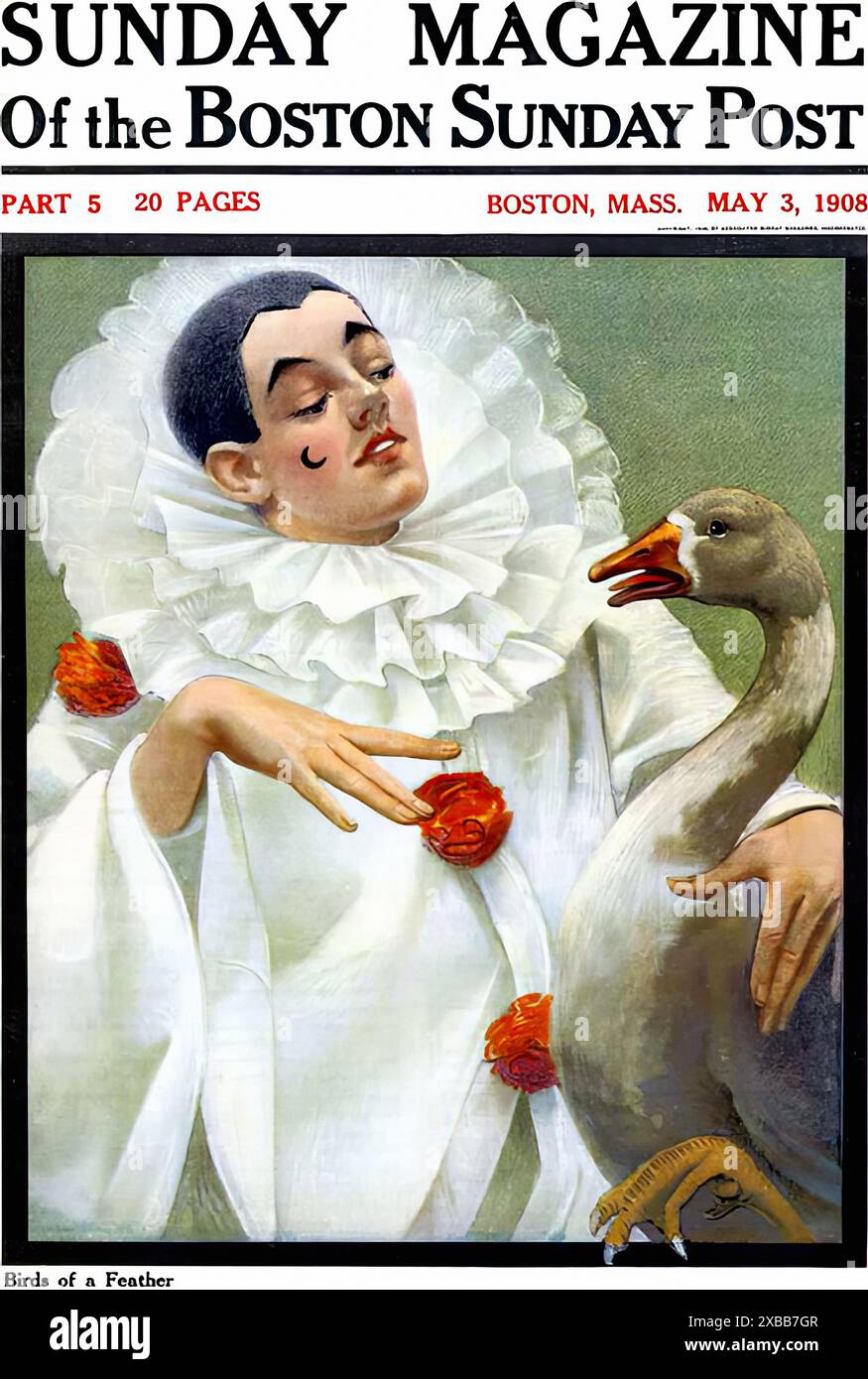 Birds of a Feather Sunday Magazine Boston Sunday Post May 3 1908 ...