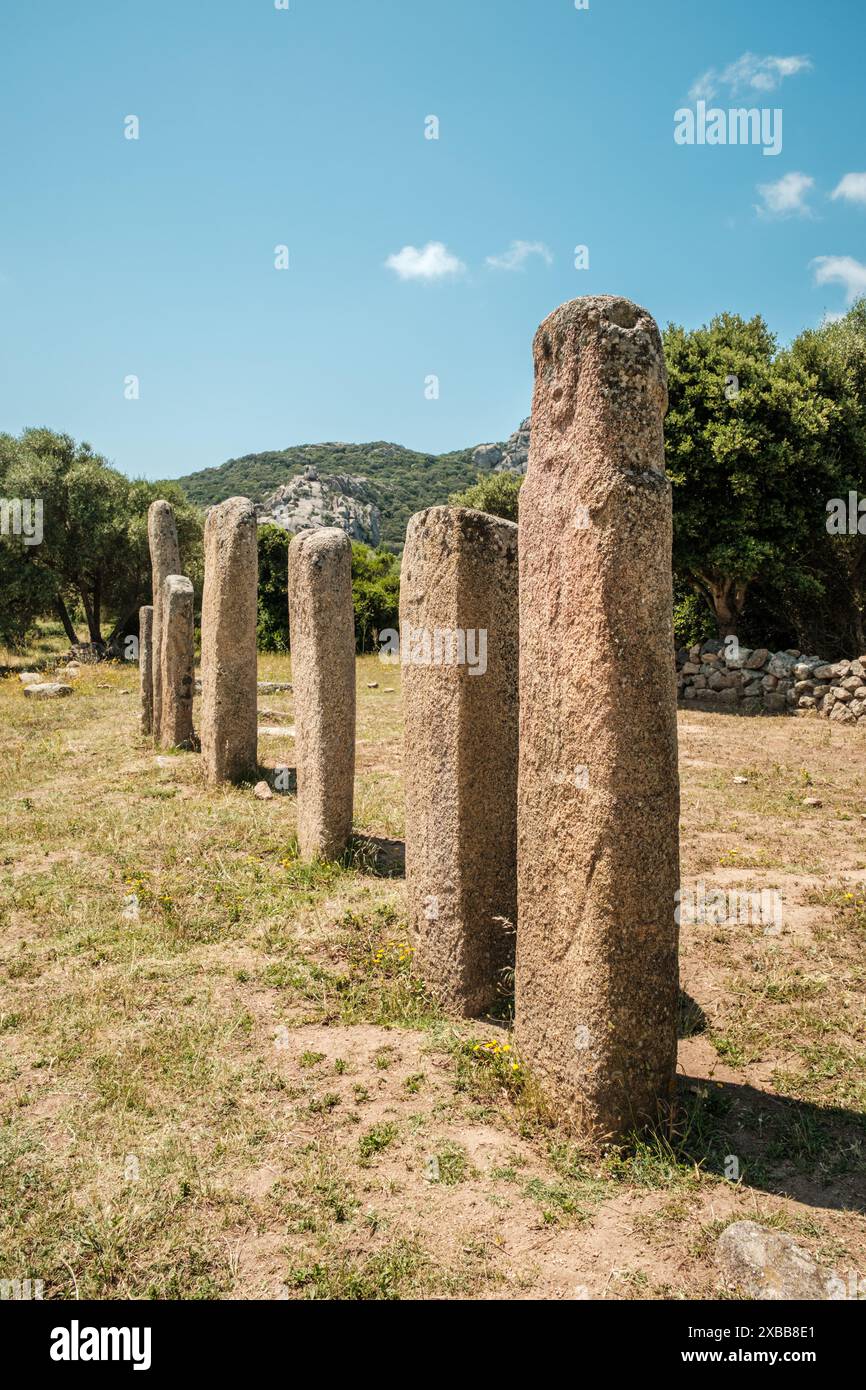 Prehistoric standing stones or Menhirs at Cauria in Corsica Stock Photo ...