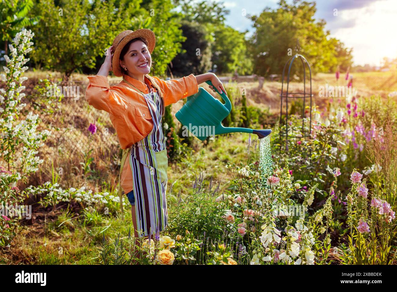 Happy woman watering blooming roses with watering can in summer garden ...