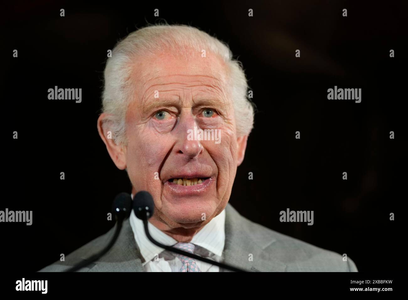King Charles III (centre) speaks as he attends the King's Foundation charity's inaugural awards ...