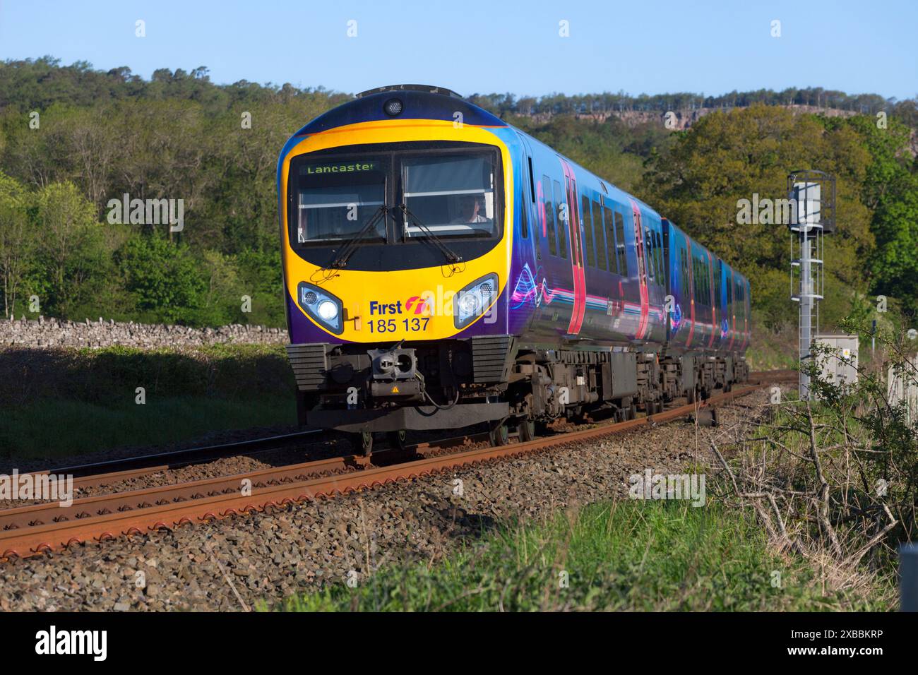 First Transpennine Express Siemens Desiro class 185 train 185137 ...