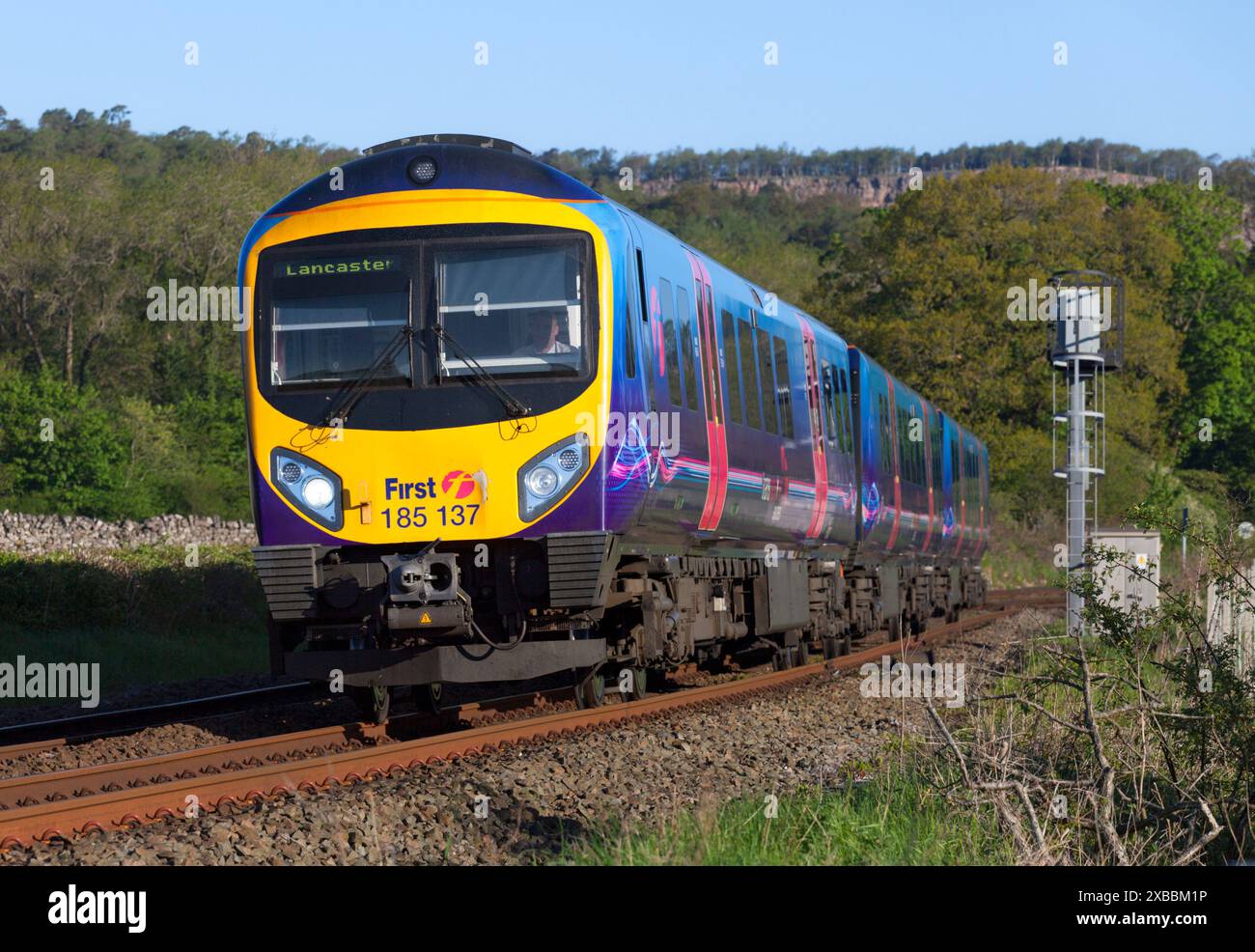 First Transpennine Express Siemens Desiro class 185 train 185137 ...