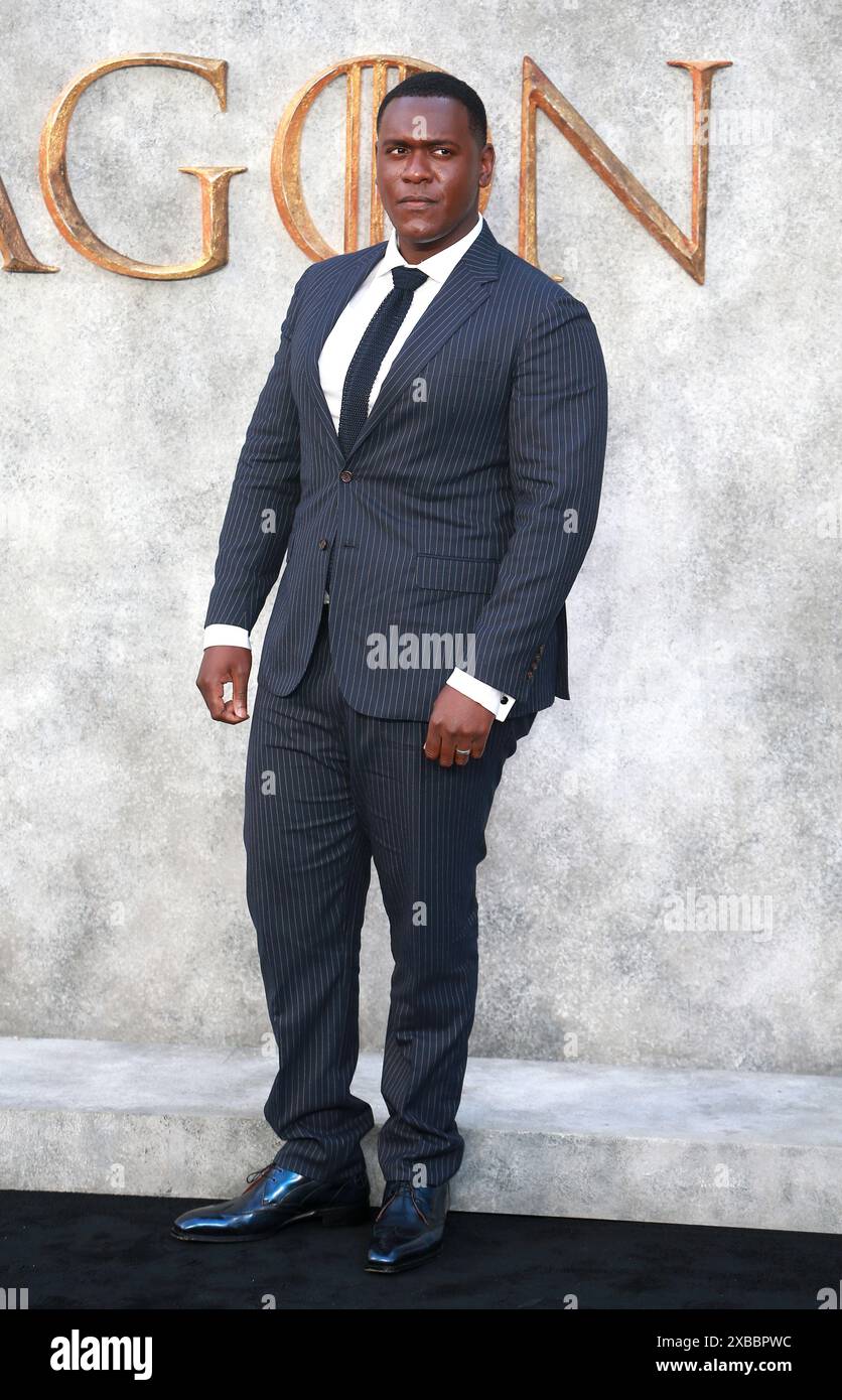 Abubakar Salim attends the House Of The Dragon: Season 2 UK Premiere at ...