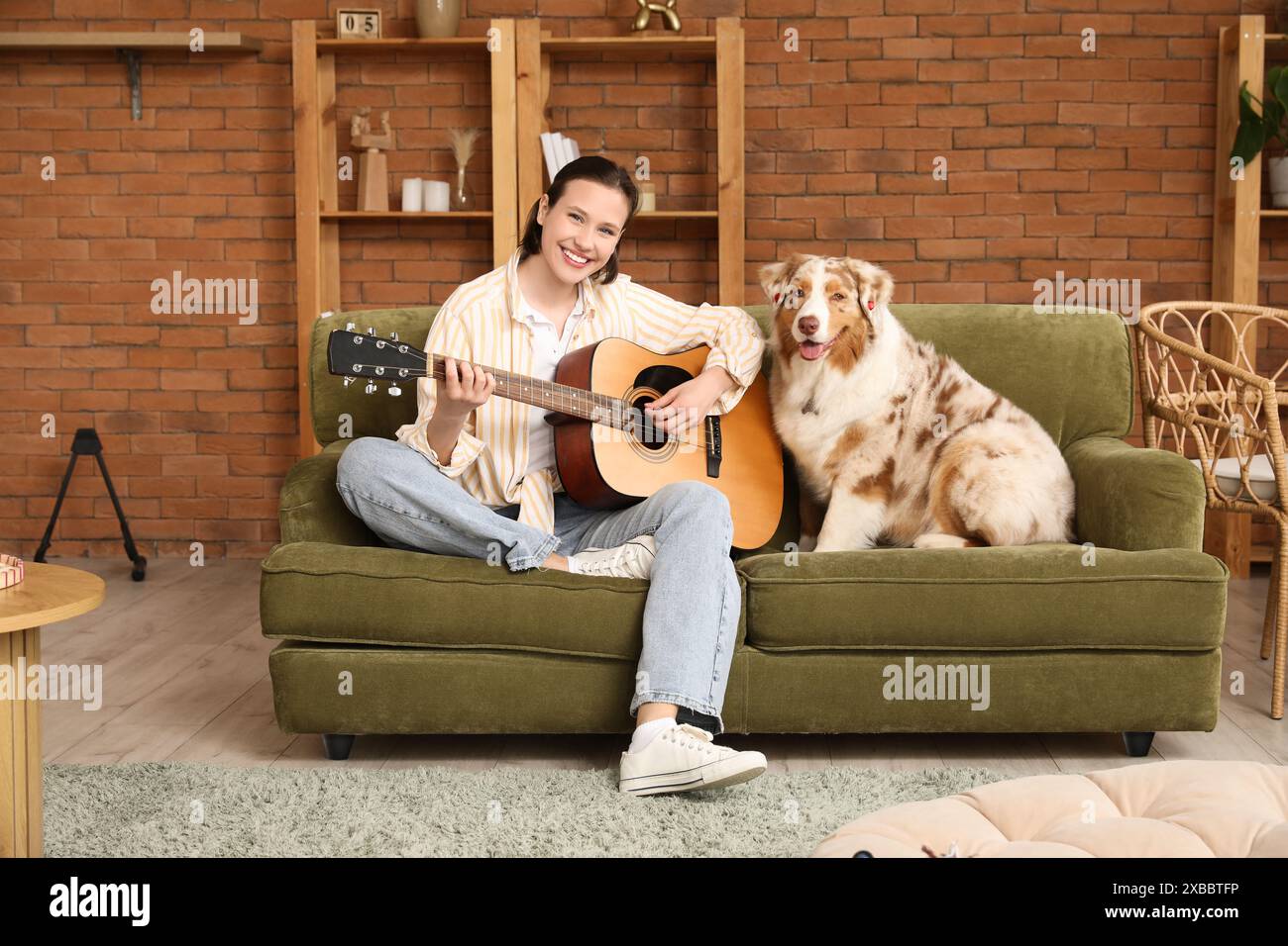 Pretty young woman playing guitar with cute Australian Shepherd dog at ...
