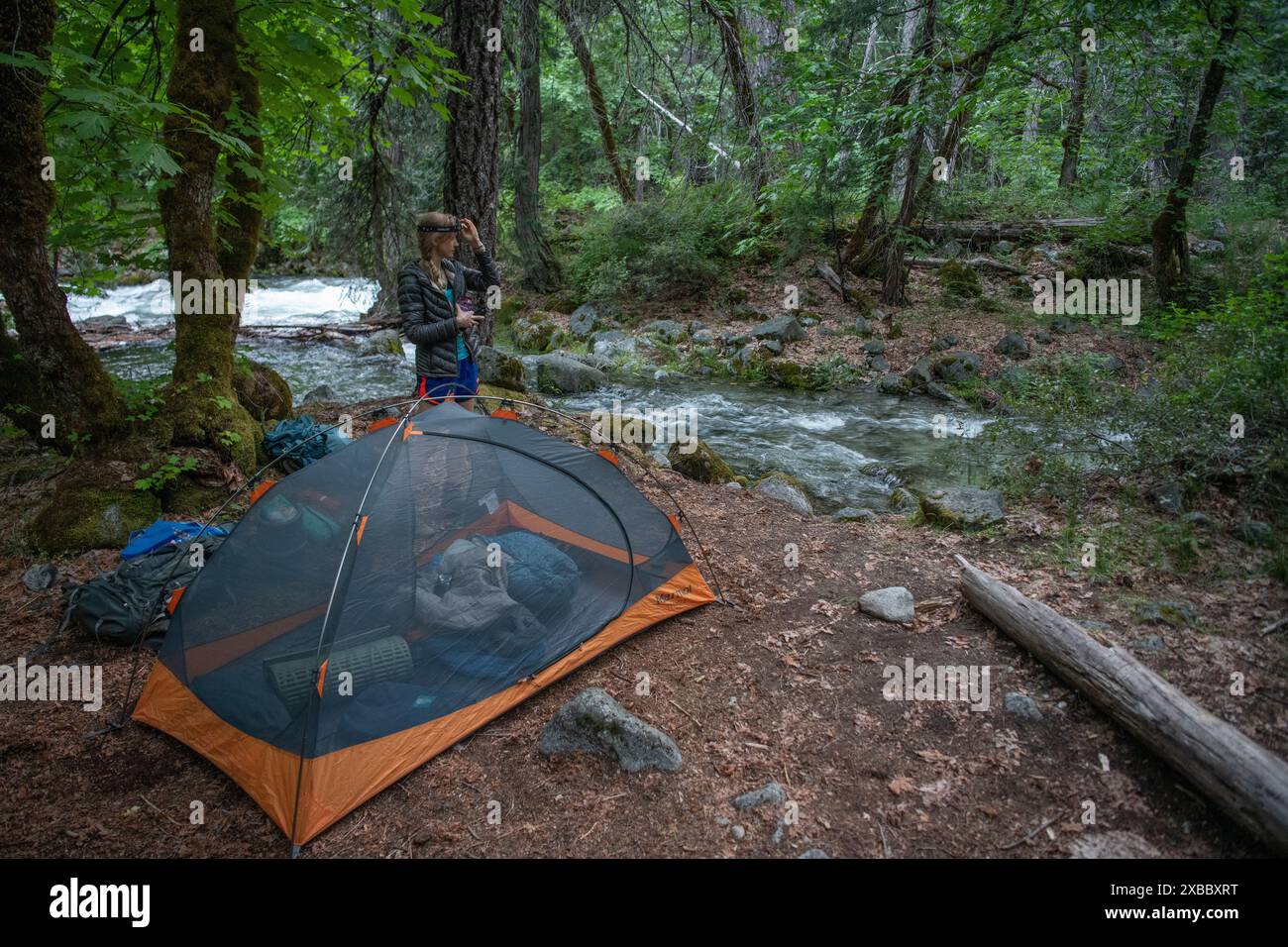 A campsite and camper in the Shasta Trinity National Forest in Northern ...