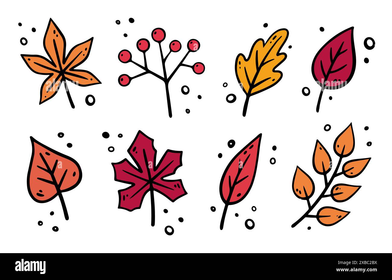 Autumn leaves set. Vector floral illustration in doodle style. Fall ...