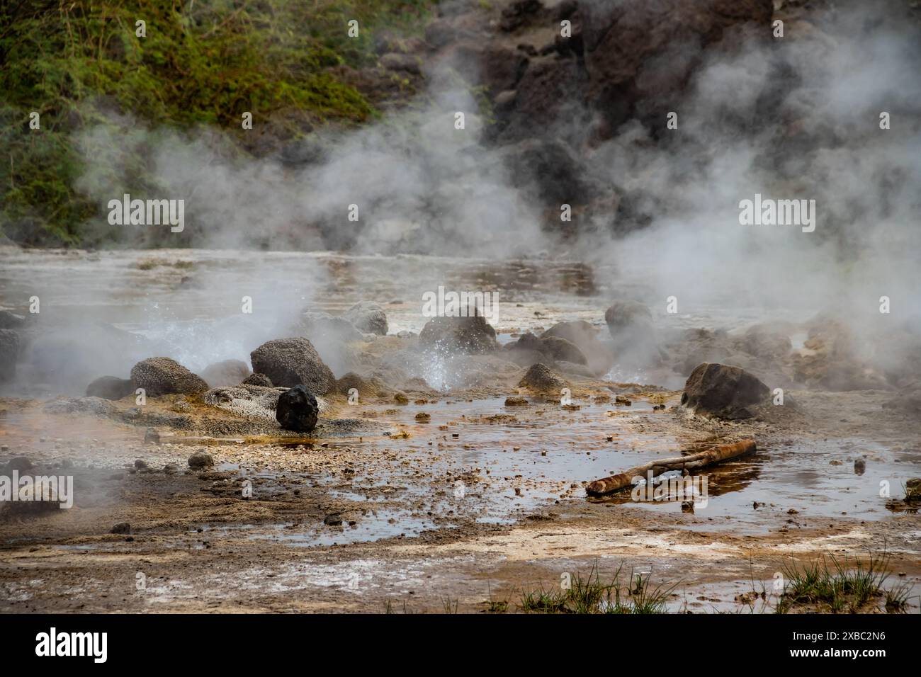 Bubbling water in natural hi-res stock photography and images - Alamy
