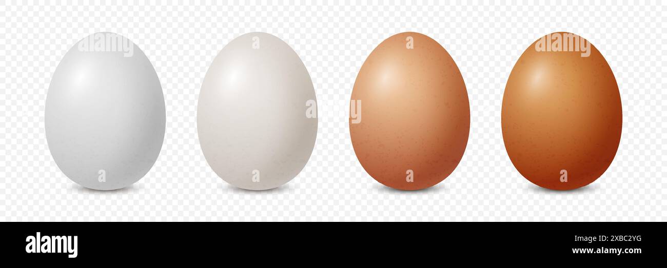Vector 3d Realistic White and Brown Chicken Egg Icon Set Closeup ...