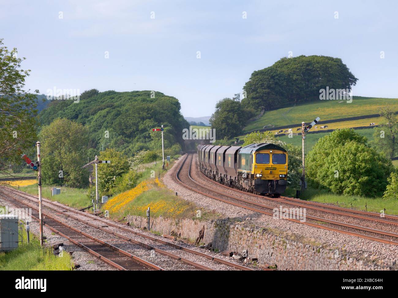 Freightliner class 66 diesel locomotive hauling a merry go round coal train passing Settle ...