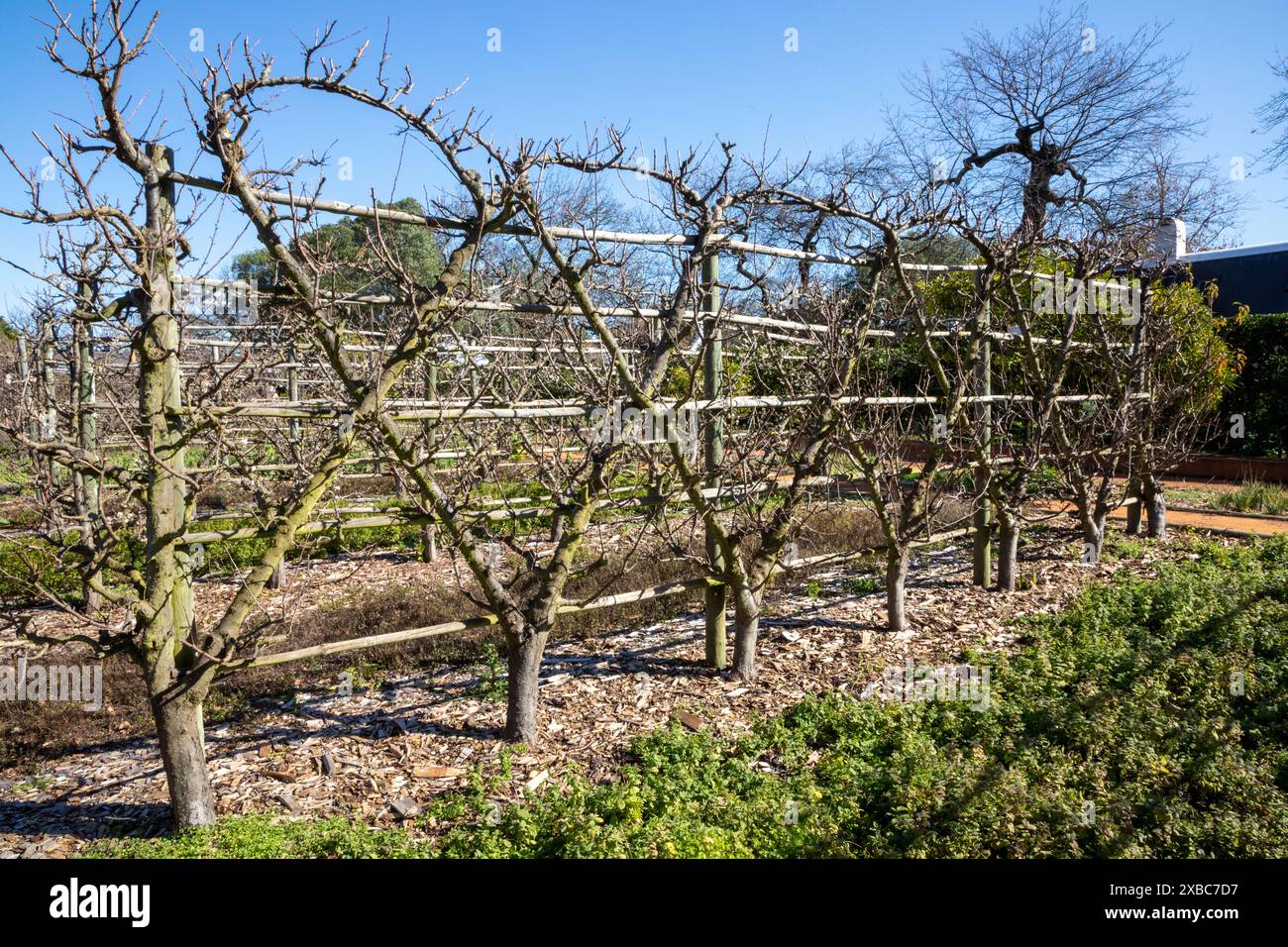 Man made shapes hi-res stock photography and images - Alamy