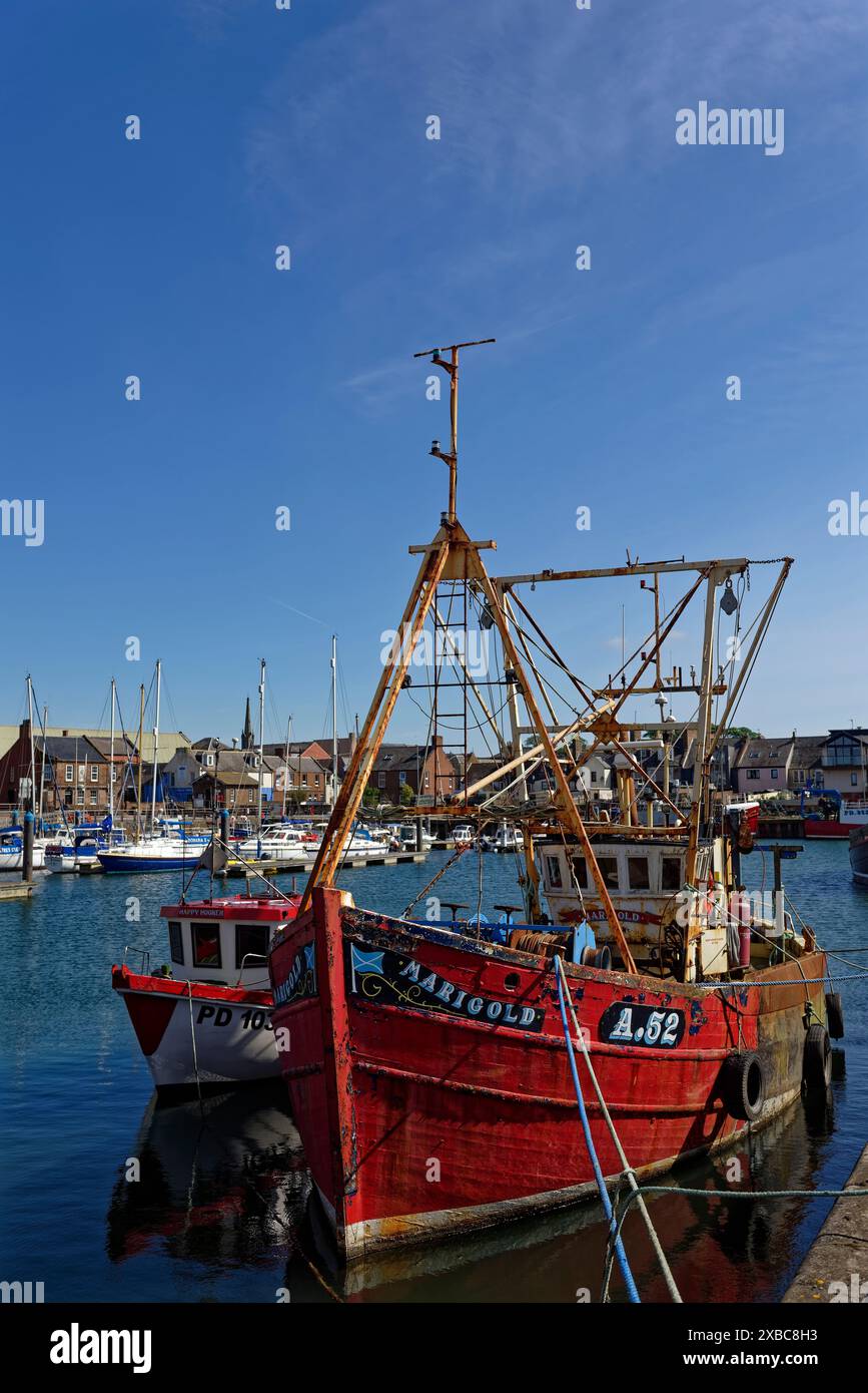 The Marigold, a traditional wooden Fishing Boat moored up in the inner ...