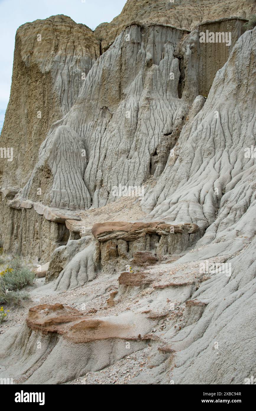 Cannonball concretions pullout hi-res stock photography and images - Alamy