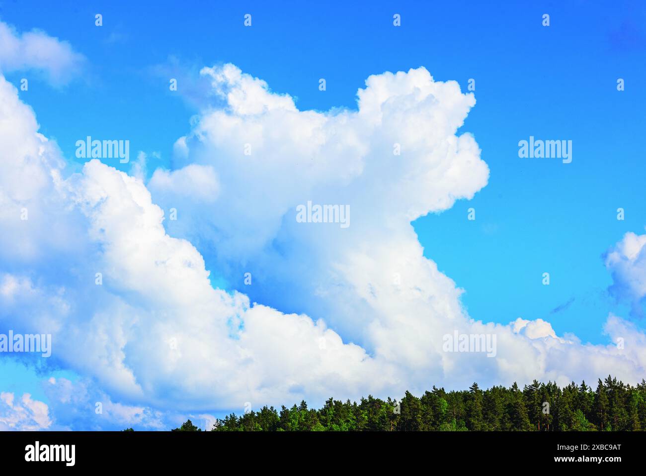 Beautiful view of the azure sky with fluffy white clouds, framed by the ...