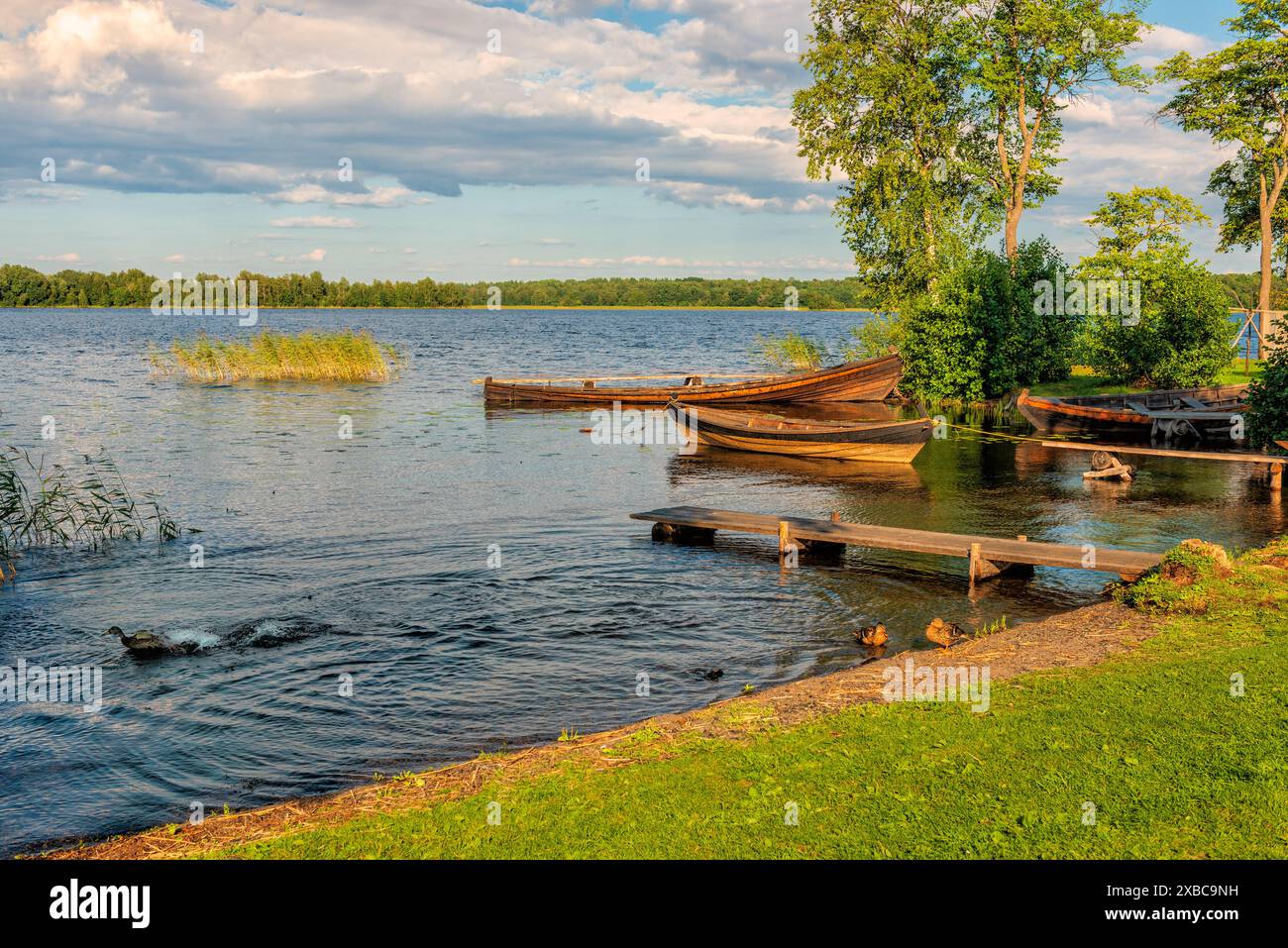 Summer landscape of Lake Onega near the Kizhi Reserve Stock Photo - Alamy