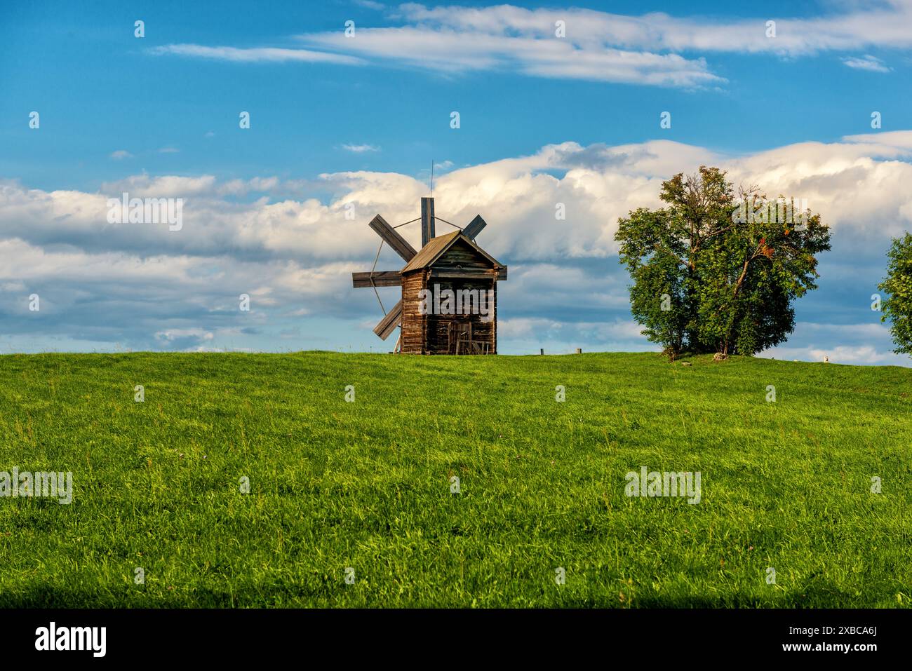 Topicated sprouted green grass and mill on the horizon line Stock Photo ...