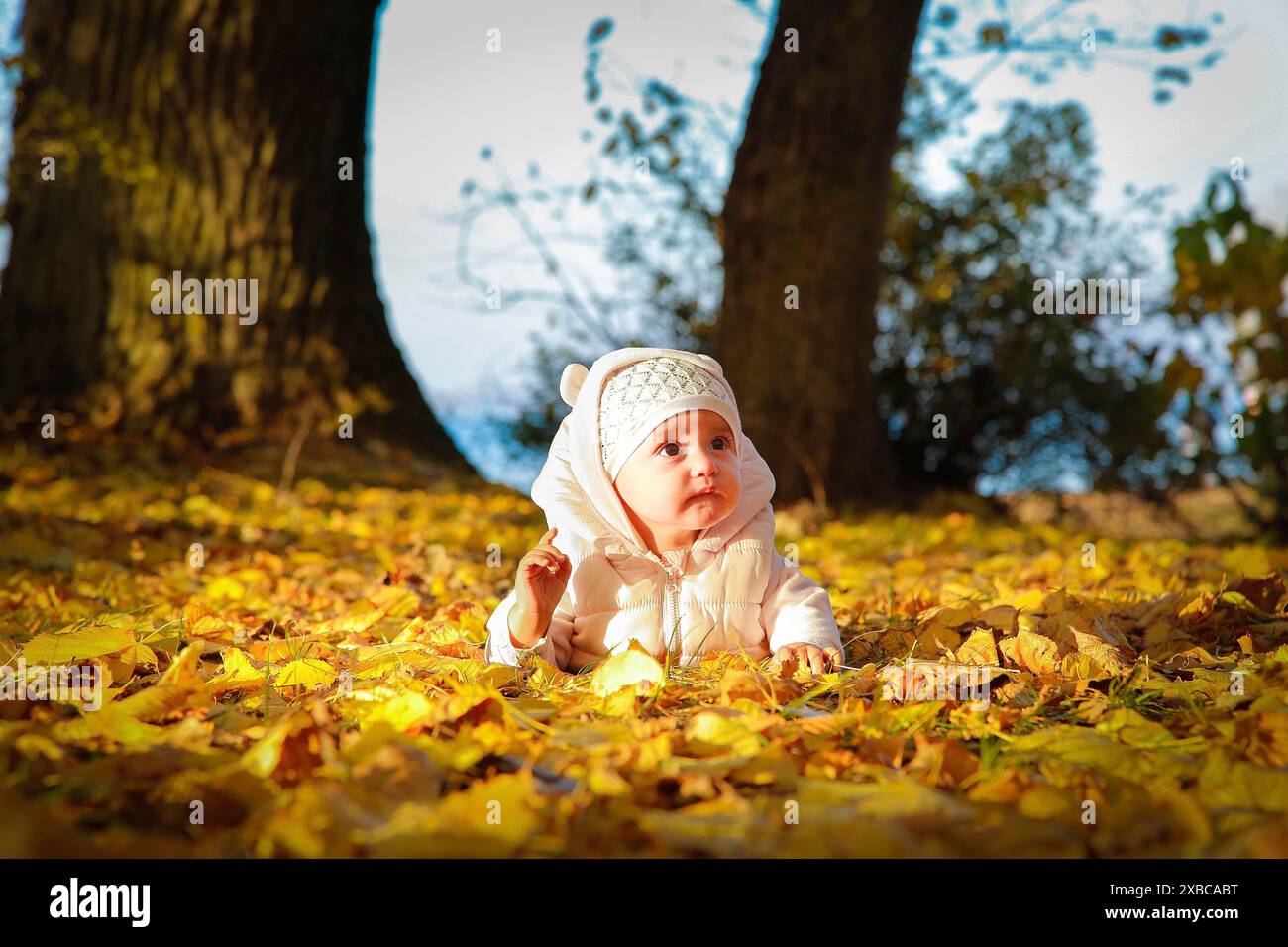 Baby in a white hoodie lying on colorful fall leaves in a forest with trees and sunlight ...