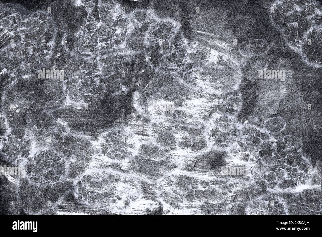 Abstract black and white texture with intricate and organic patterns ...