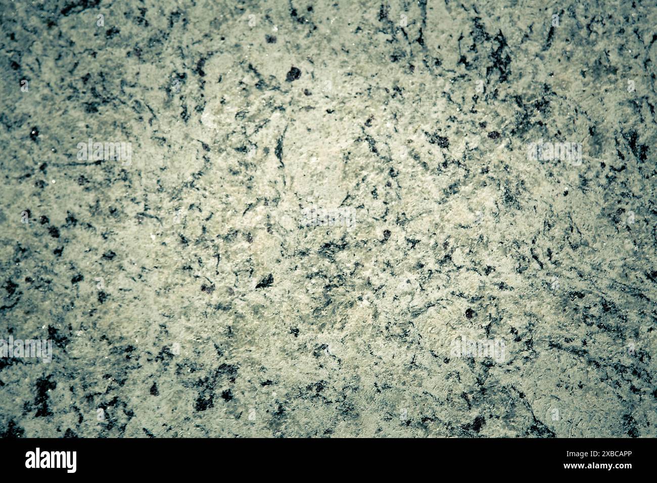Rough granite texture with gray and black spots, displaying a natural ...